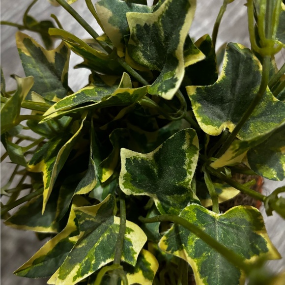 Other | Fake Plant | Poshmark